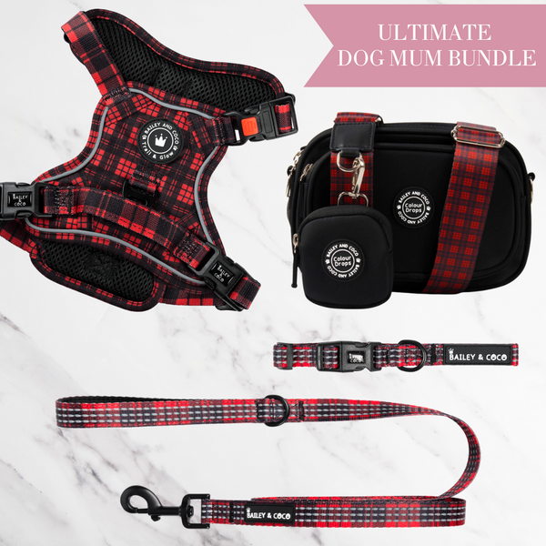 10_600x.png?v=1741195215