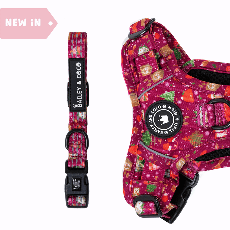 Adjustable Collar - Winter Wonderland XS-L