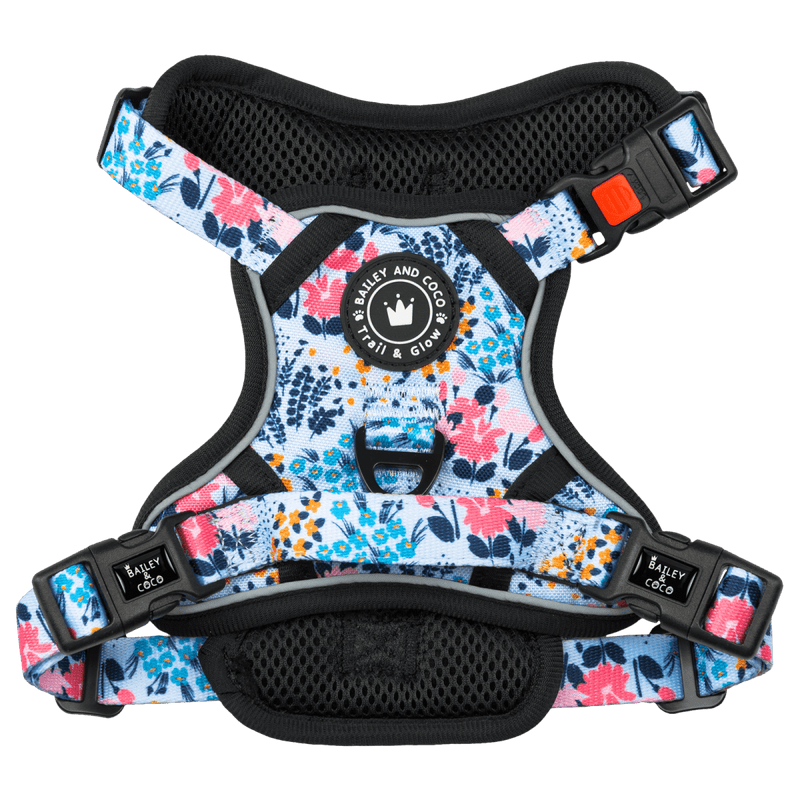 Front Clip Dog Harness | No Pull Dog Harness | Spring Dreams