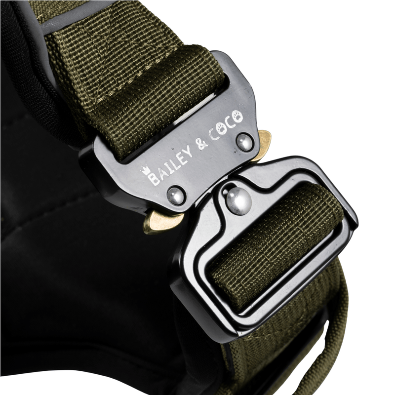 Home / Products / Premium Power Trails® Heavy-Duty Utility Dog Harness ...