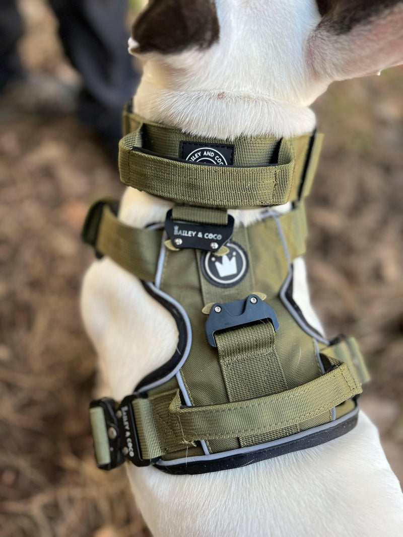 Home / Products / Premium Power Trails® Heavy-Duty Utility Dog Harness ...