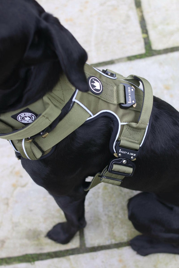 Home / Products / Premium Power Trails® Heavy-Duty Utility Dog Harness ...