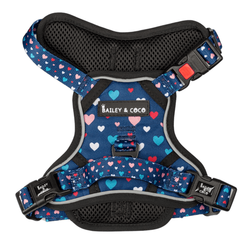 Home / Products / Trail & Glow® Dog Harness - All You Need Is Love ...