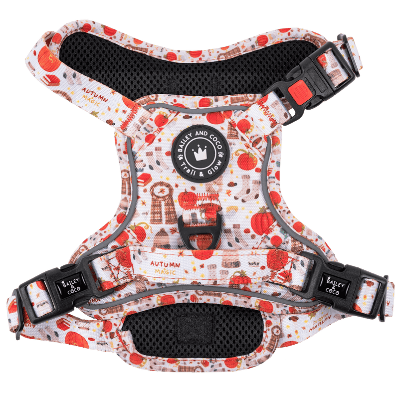 Home / Products / Trail & Glow® Dog Harness - Autumn Magic