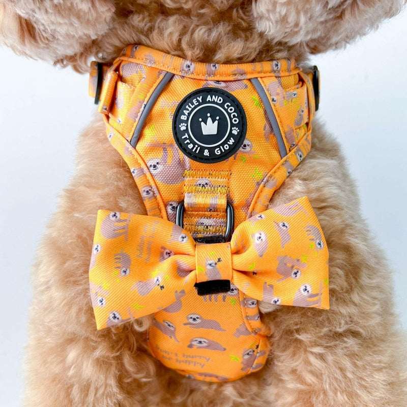 Trail & Glow® Dog Harness Bundle Set - Don't Hurry, Be Happy