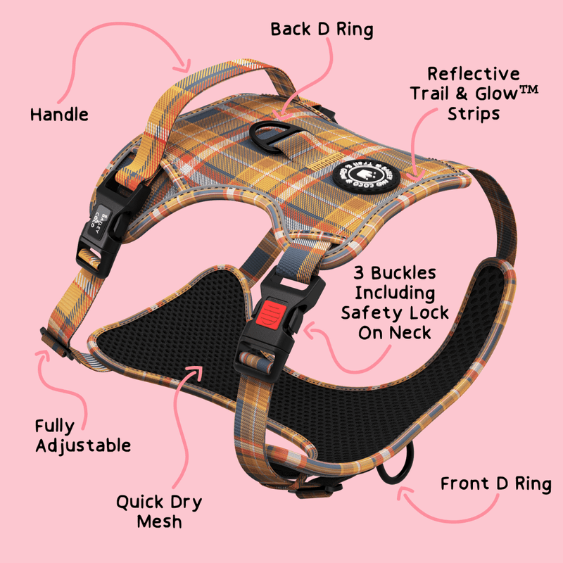 Home / Products / Trail & Glow® Dog Harness Bundle Set - Rustic Tartan