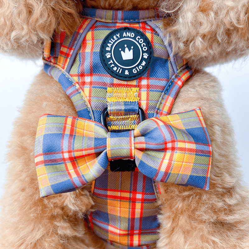 Home / Products / Trail & Glow® Dog Harness Bundle Set - Rustic Tartan