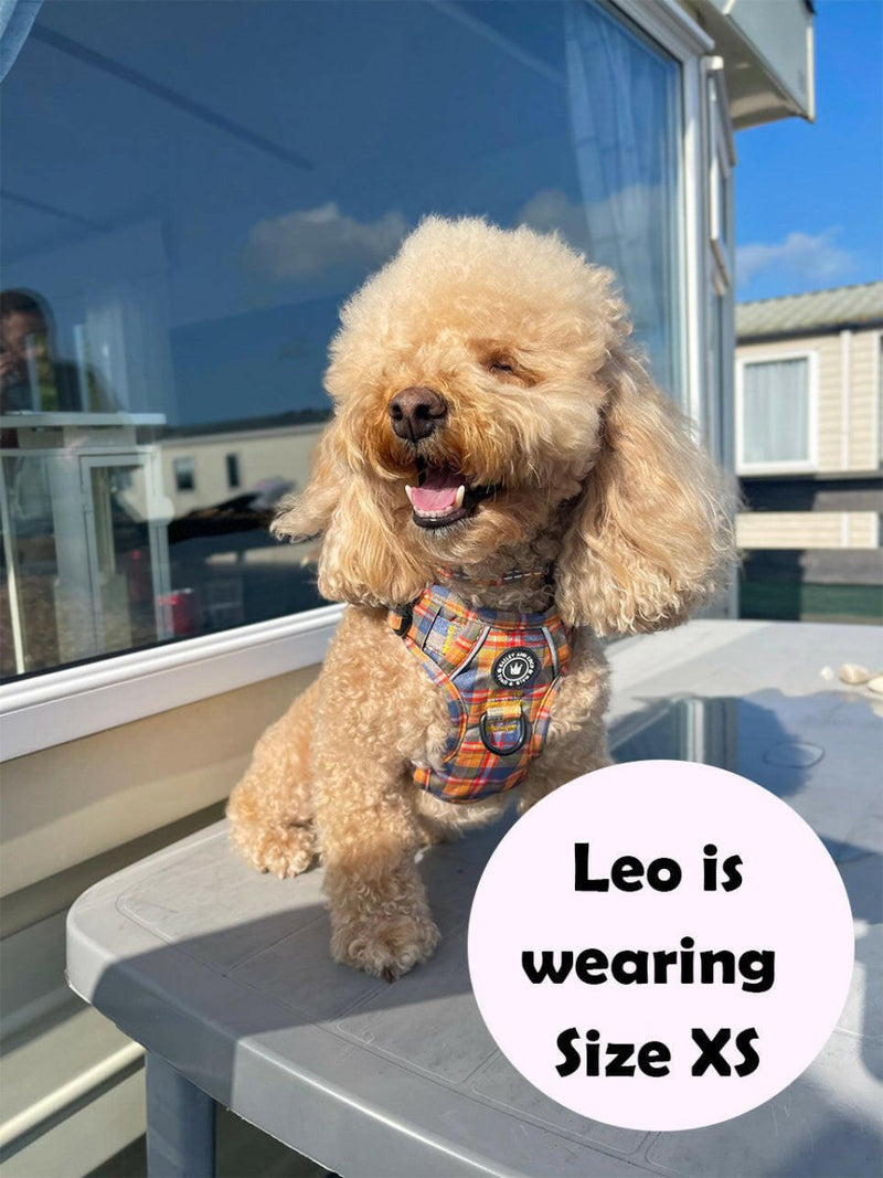 Home / Products / Trail & Glow® Dog Harness Bundle Set - Rustic Tartan