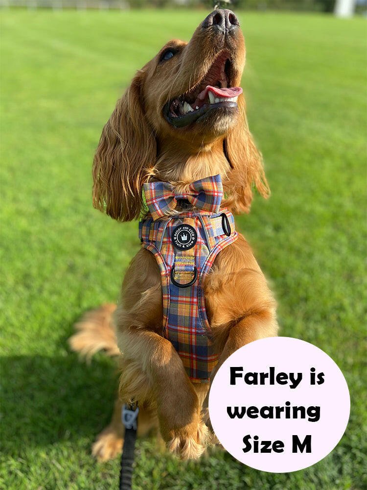 Home / Products / Trail & Glow® Dog Harness Bundle Set - Rustic Tartan