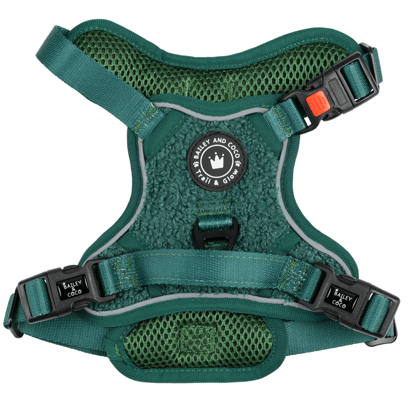 Trail & Glow® Dog Harness - Emerald Teddy