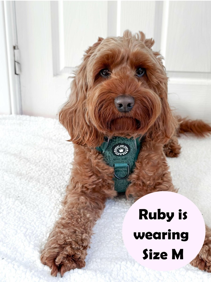 Trail & Glow® Dog Harness - Emerald Teddy – Bailey and Coco (UK)