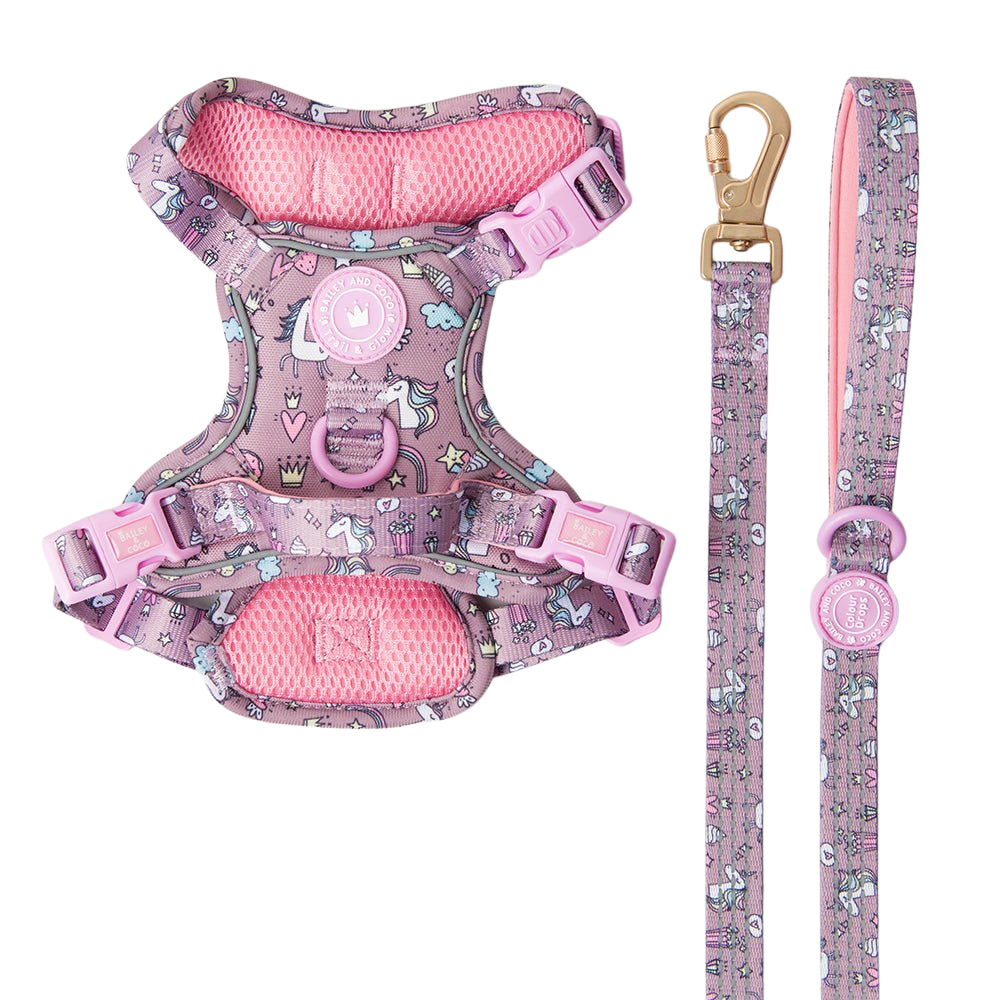 Be Unique Dog Harness – Bailey and Coco (UK)
