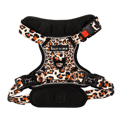 Trail & Glow® Leopard Print Dog Harness - Wild One