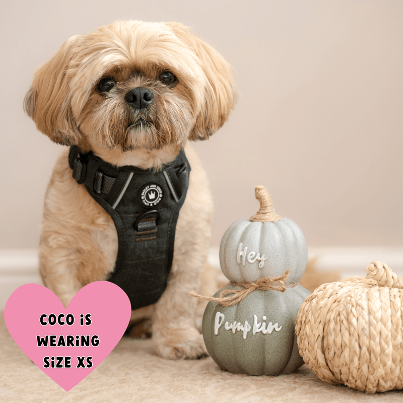 Home / Products / Trail & Glow Tweed Dog Harness - Forest Tweed